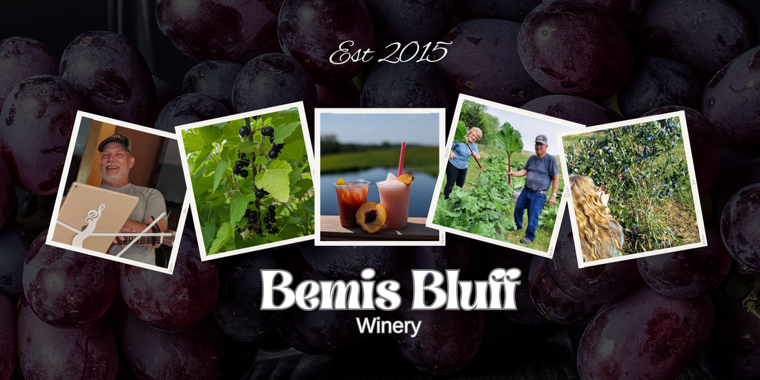 Bemis Bluff Winery | Experience Luxury With Each Sip